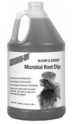 Microbial Root Dip Gallon (3.785 L) for Professional Use - Pond and Pet ...